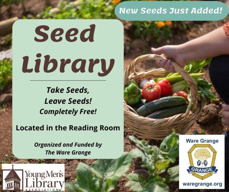 Young Men's Library Association – Ware's Public LIbrary